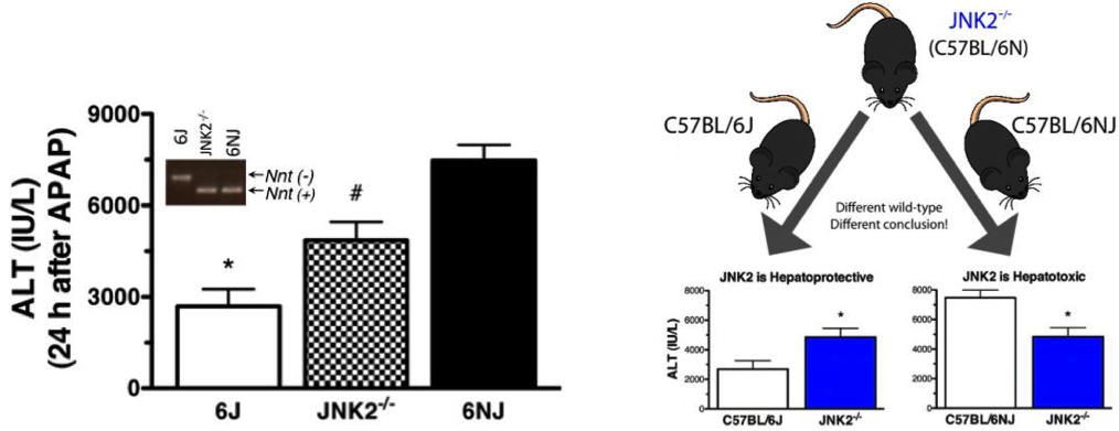 There is no such thing as a C57BL/6 mouse! 只有C57BL/6J，C57BL/6N，C57BL/6JCRL……