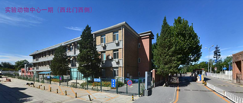 THU-LARC|清华大学实验动物中心