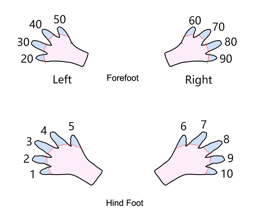 目前在清华大学实验动物中心使用的编号方法